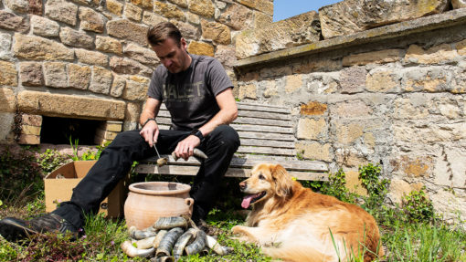 Weingut Alexander Gysler | Biodynamischer Wein | Demeter Wein